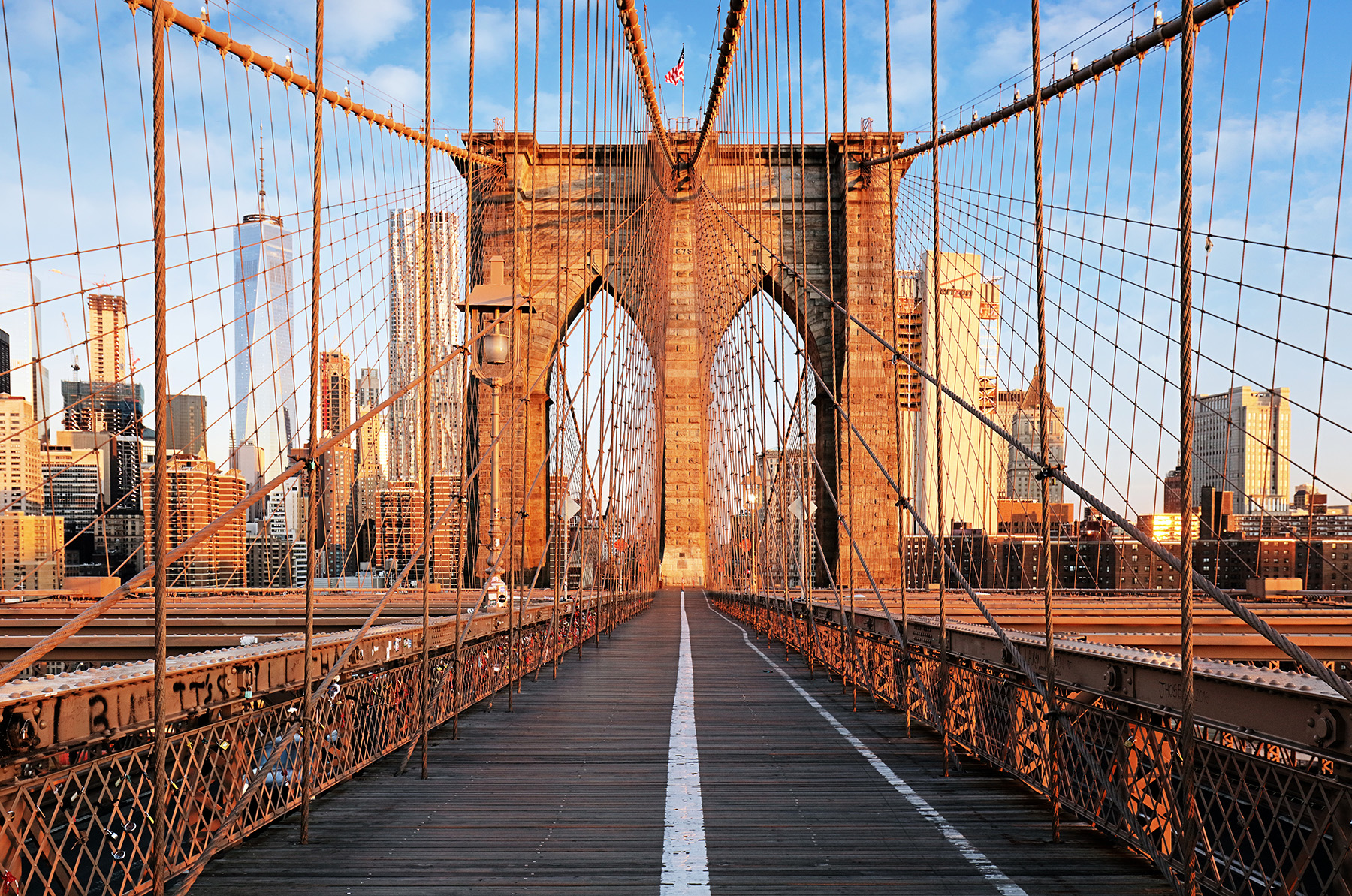 NYC Cat History Walking Tours | Brooklyn, FiDi & LES